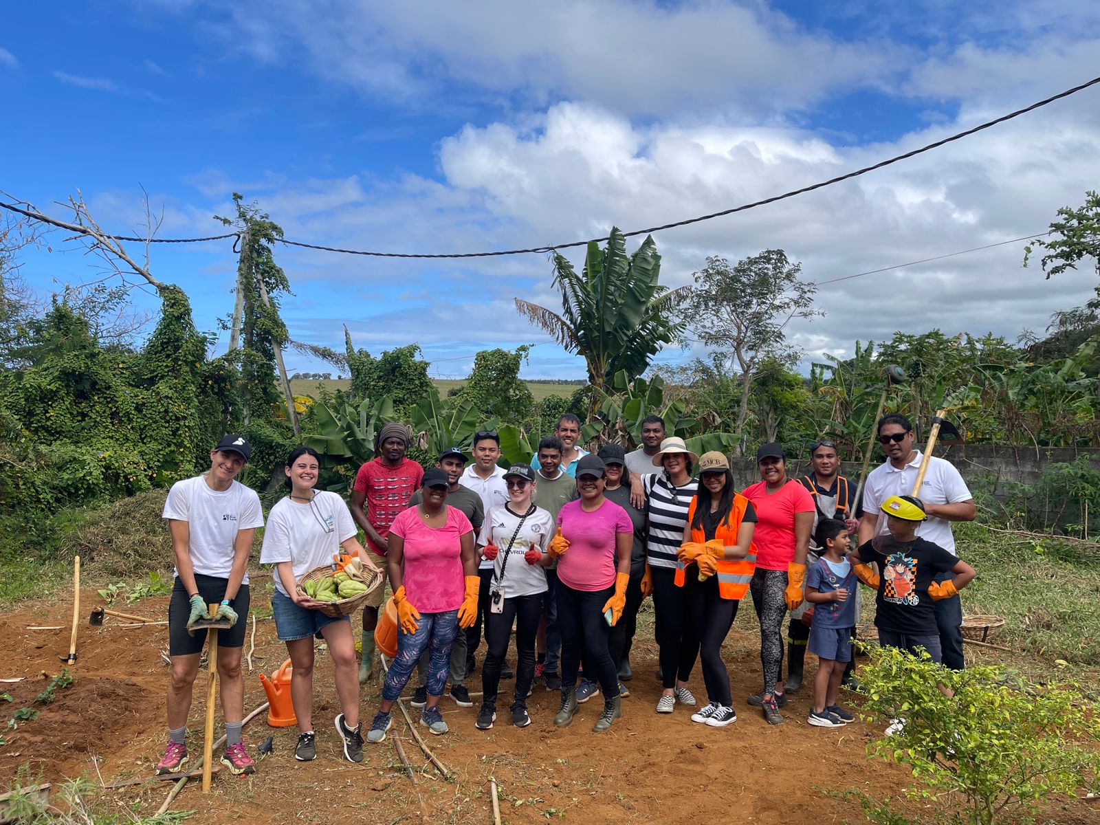 FOCUS: Discovering the Potato - Beau Vallon